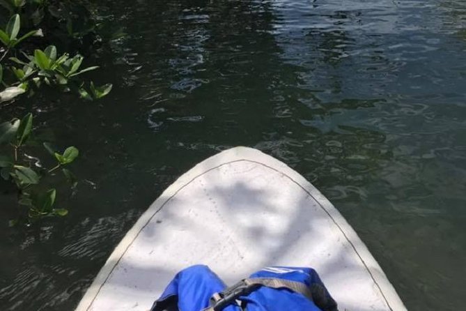 Key West Stand Up Paddleboard Rental - An In-Depth Look at the Key West Stand Up Paddleboard Rental