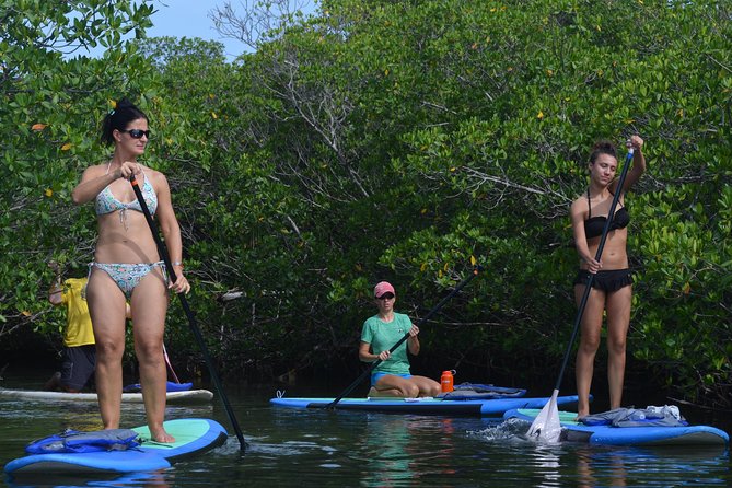 Key West Stand Up Paddleboard Rental - Who Should Consider This Tour?