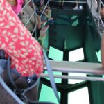 Key West Tours from Miami: Dolphin Discovery, Snorkeling & More ! - Is This Tour Worth It?