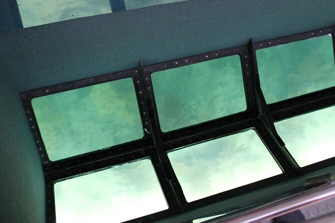 Key West Tours from Miami: Dolphin Discovery, Snorkeling & More ! - Who Would Enjoy This Tour?