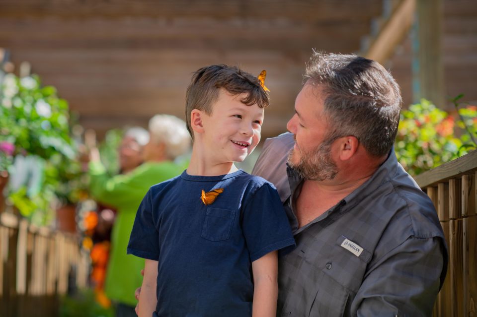 Kissimmee: Boggy Creek Airboat Ride with Optional Meal - An Engaging Look at the Experience