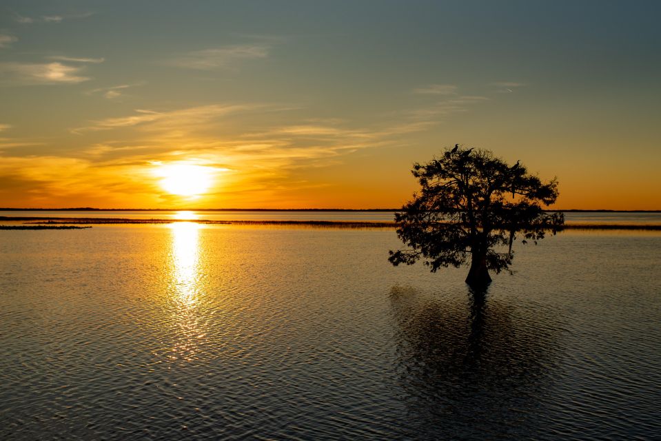 Kissimmee: Boggy Creek Sunset Airboat Tour - Final Thoughts