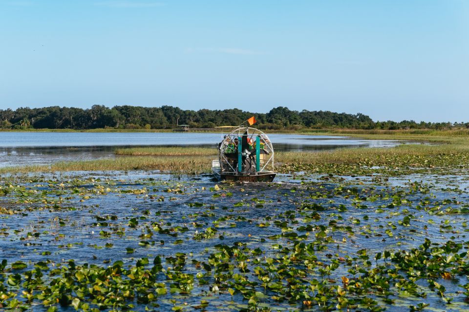 Kissimmee: Everglades Airboat Adventure Tour - A Deep Dive into the Experience