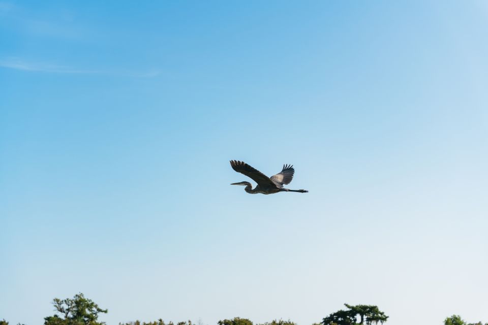 Kissimmee: Everglades Airboat Adventure Tour - Who Is This Tour Best For?