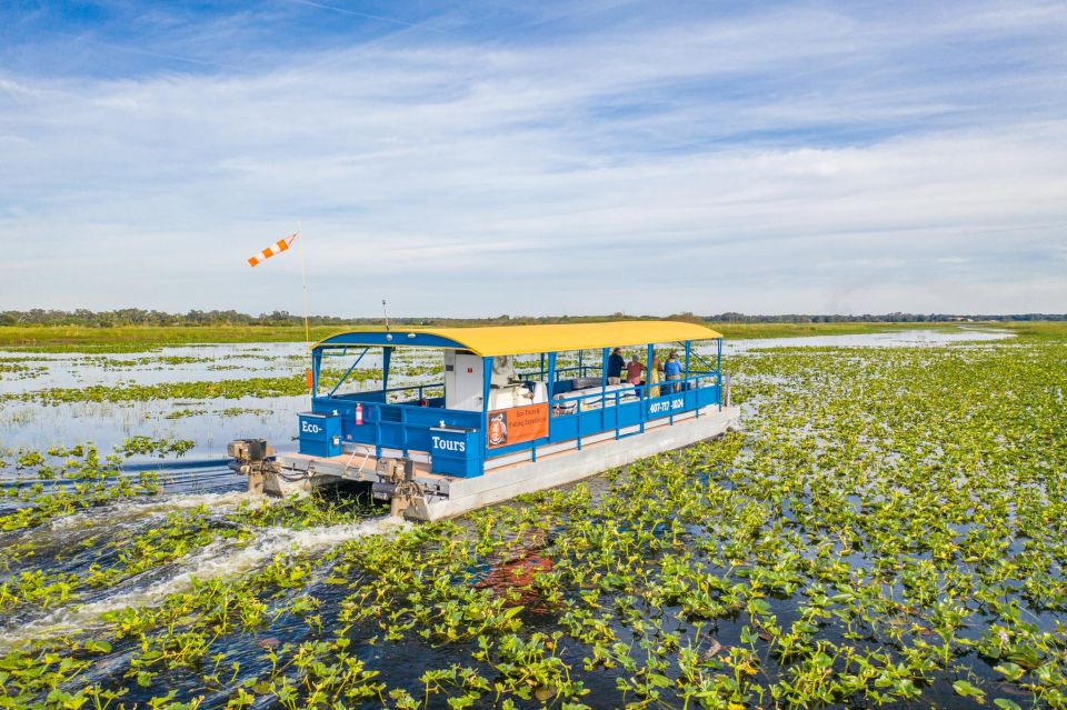 Kissimmee: Florida Everglades Pontoon Boat Tour - Key Points
