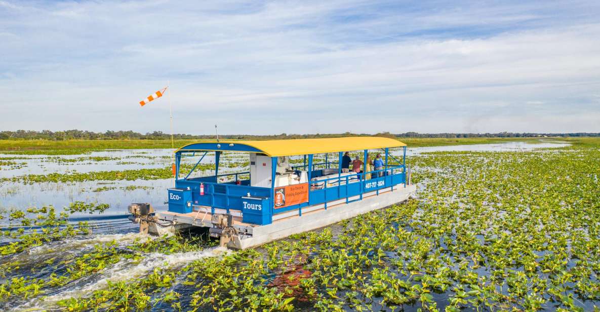 Kissimmee: Florida Everglades Pontoon Boat Tour - Whats Included and Practicalities