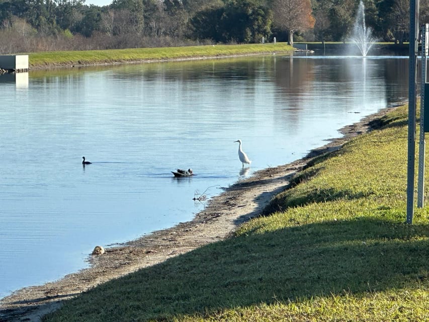 Kissimmee: Self-Guided Lakefront Tour on All Electric Bike - Key Points