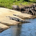 Kissimmee: Self-Guided Lakefront Tour on All Electric Bike - Exploring the Itinerary and Highlights
