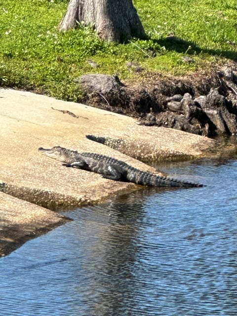 Kissimmee: Self-Guided Lakefront Tour on All Electric Bike - Exploring the Itinerary and Highlights