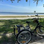 Kissimmee: Self-Guided Lakefront Tour on All Electric Trike - Expect a Laid-back, Wildlife-Packed Ride