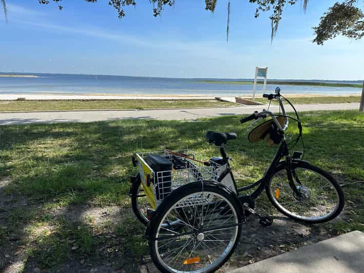 Kissimmee: Self-Guided Lakefront Tour on All Electric Trike - Expect a Laid-back, Wildlife-Packed Ride