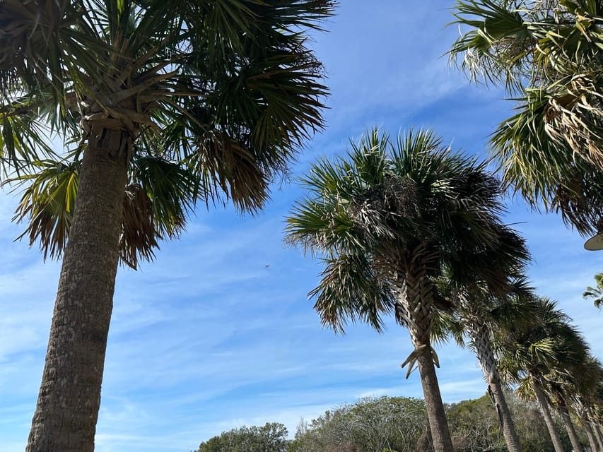 Kissimmee: Self-Guided Lakefront Tour on All Electric Trike - Practical Details & What You Need to Know