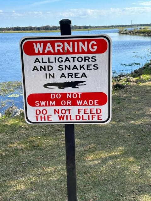 Kissimmee: Self-Guided Lakefront Tour on All Electric Trike - Final Thoughts