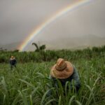 Ko Hana Rum Tour and Tasting - Practical Tips for Your Visit