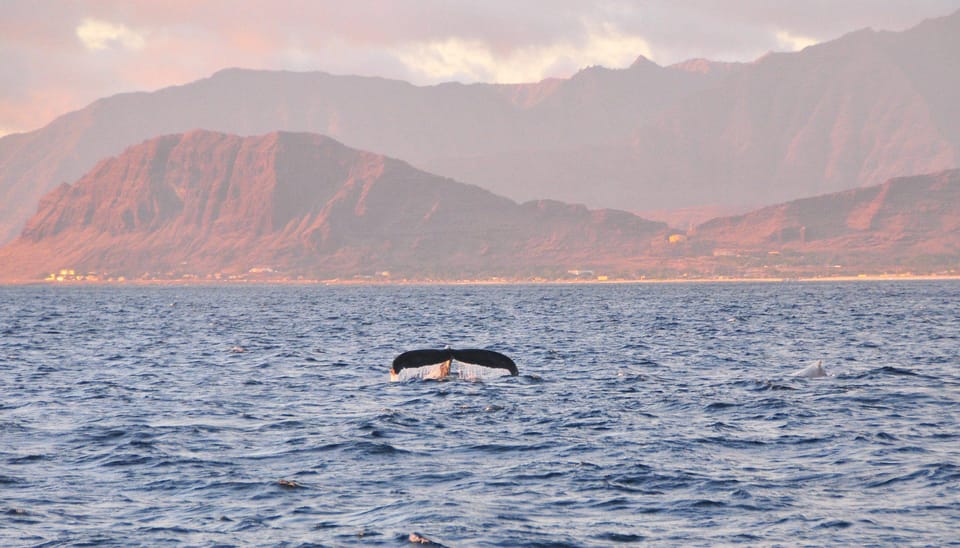Ko Olina: Captain's Sunset + Tasting - FAQs