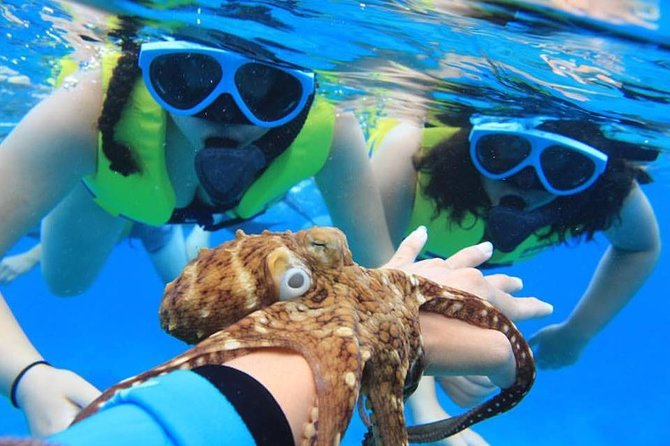 Ko Olina Catamaran Sail and Snorkel - An In-Depth Look at the Ko Olina Catamaran Experience