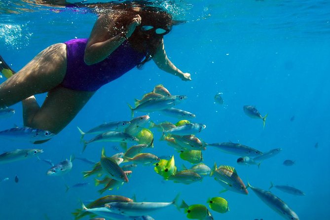 Ko Olina Catamaran Sail and Snorkel - FAQs