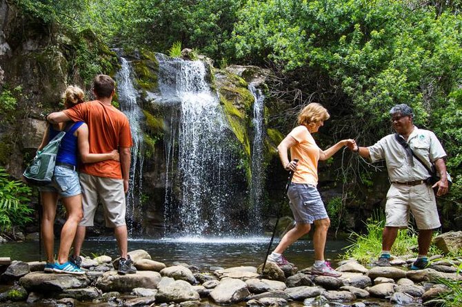 Kohala Waterfalls Small Group Adventure Tour - Authentic Insights from Reviewers