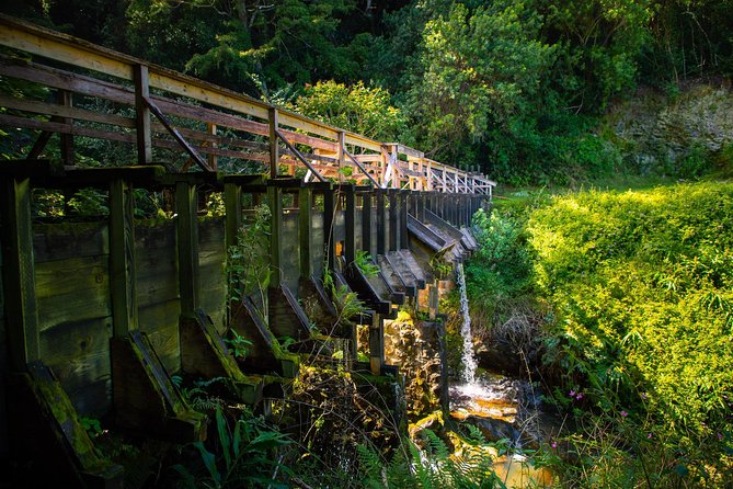 Kohala Waterfalls Small Group Adventure Tour - The Sum Up