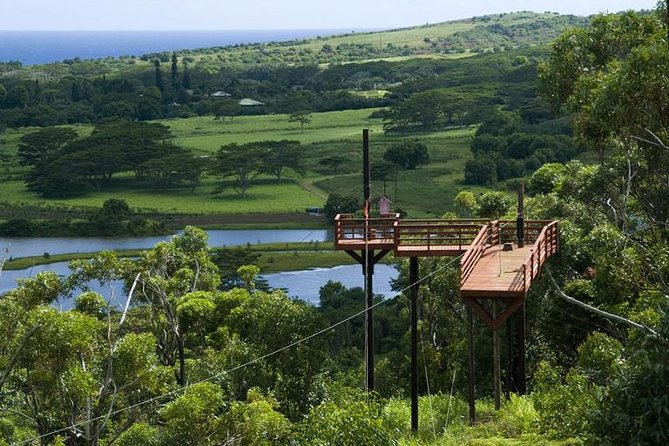 Koloa Zipline in Kauai - Authentic Review Insights