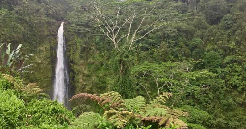 Kona: Big Island Big Volcano Adventure - Ending with Scenic Views