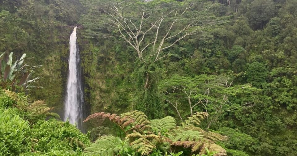 Kona: Big Island Big Volcano Adventure - Pricing and Value
