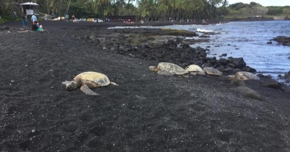 Kona: Choose Your Own Adventure - Itinerary Breakdown and Highlights