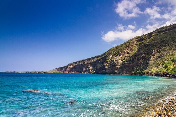 Kona Coast Cruise: Snorkel Kealakekua Bay & Dolphin Encounter - What’s Included & What to Bring