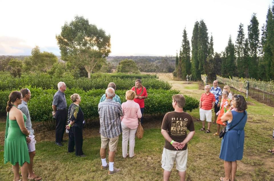 Kona: Hawaii Volcanoes National Park Tour - What Makes This Tour Stand Out?