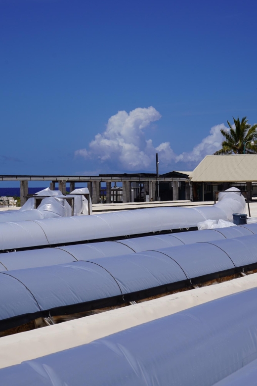 Kona: Hawaiian Salt Farm Tour - What Reviewers Have Said