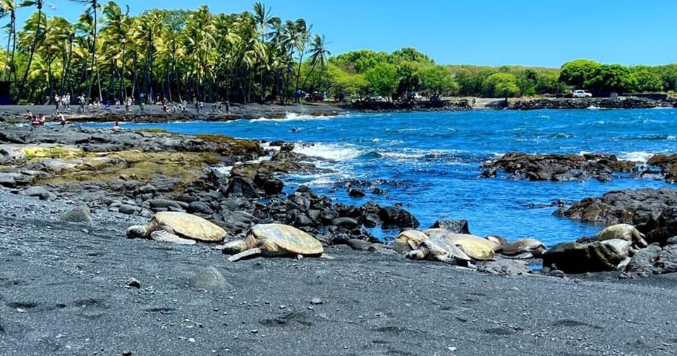 Kona: Kilauea Summit to Shore - FAQs