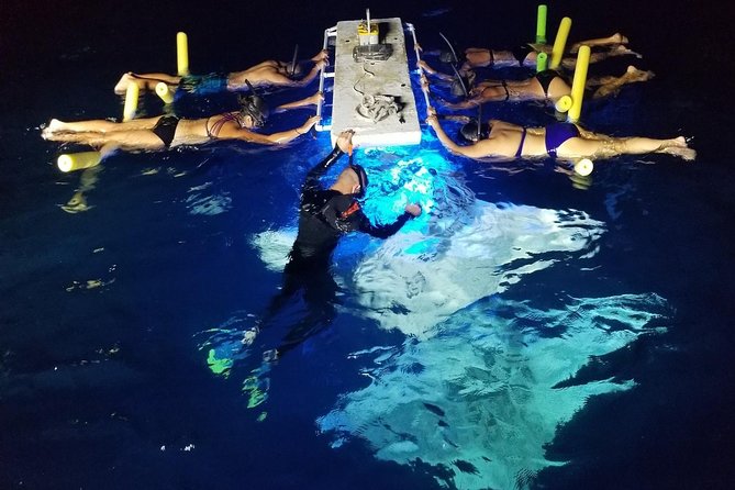 KONA Manta Ray Night Snorkel - FREE re-ride if no Sightings - Introduction