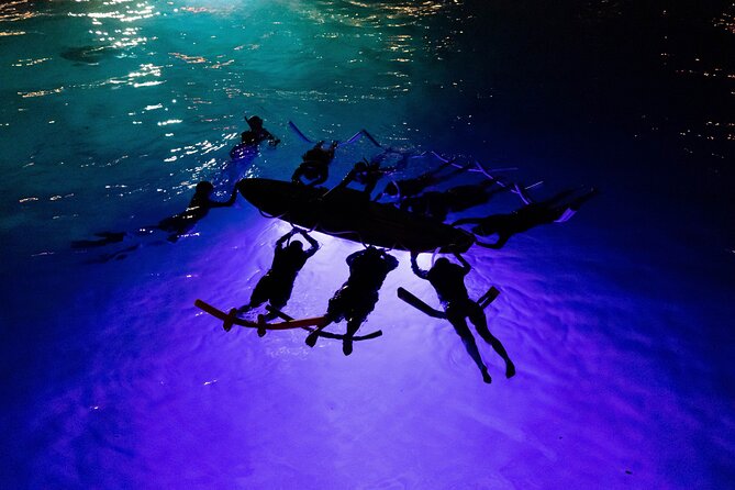 Kona Night Manta Snorkel Tour - Key Points