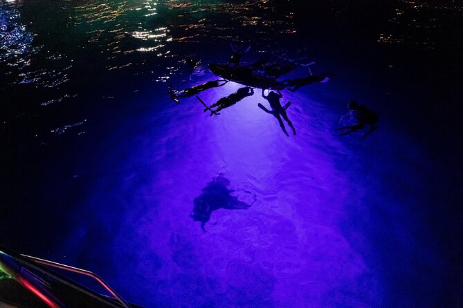 Kona Night Manta Snorkel Tour - The Itinerary Breakdown