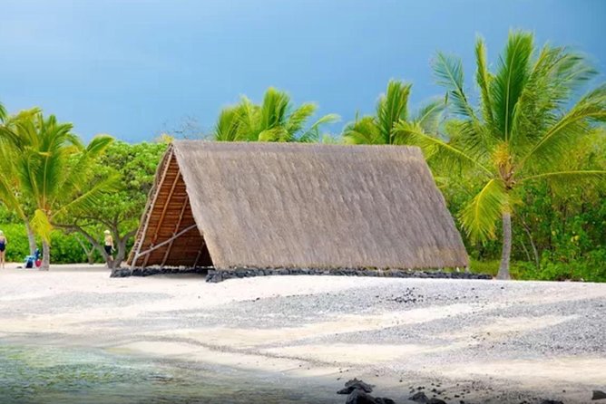 Kona Shore Excursion: Sea Turtles, Historic Kona & Coffee - FAQs