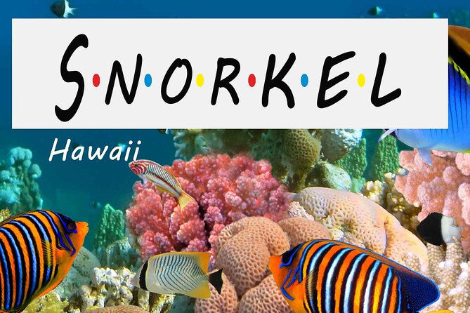 Kona Shore Excursion: Wild Dolphin Reefs Snorkel and Sea Caves - A Deep Dive into the Experience