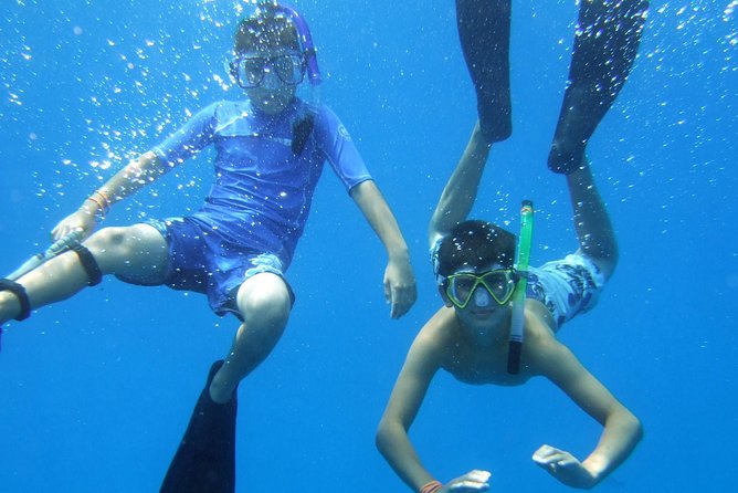 Kona Shore Excursion: Wild Dolphin Reefs Snorkel and Sea Caves - Authentic Insights from Reviews