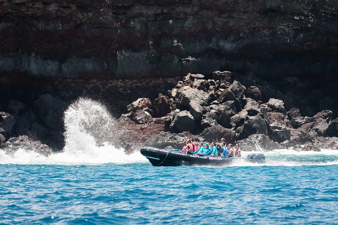 Kona Snorkeling: Beat the Crowd to Kealakekua Bay - An In-Depth Look at the Experience