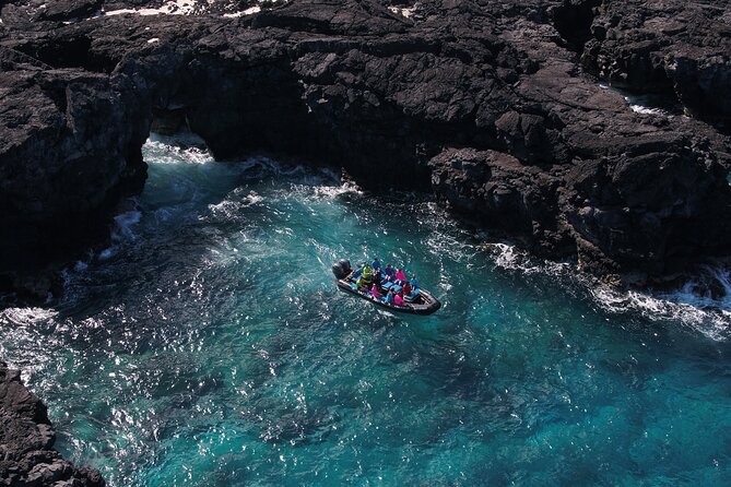 Kona Snorkeling: Beat the Crowd to Kealakekua Bay - What the Reviews Reveal