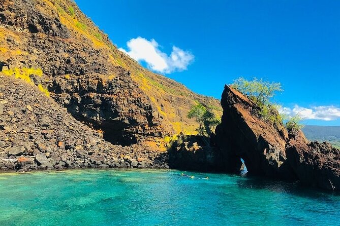 Kona Wild Dolphin, Sea Cave & Captain Cook Reef Snorkel Adventure - FAQs