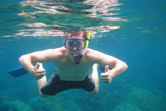 Kona's Deluxe Snorkel - Snorkel Captain Cook and Place of Refuge - An In-Depth Look at the Kona Deluxe Snorkel Tour