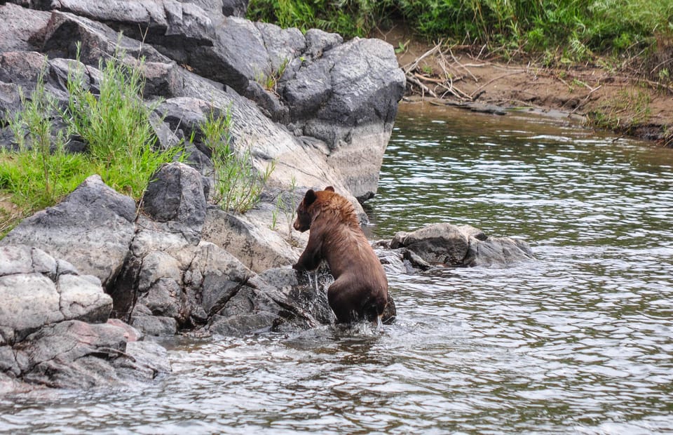 Kremmling: Upper Colorado Half-Day Guided Float - FAQ