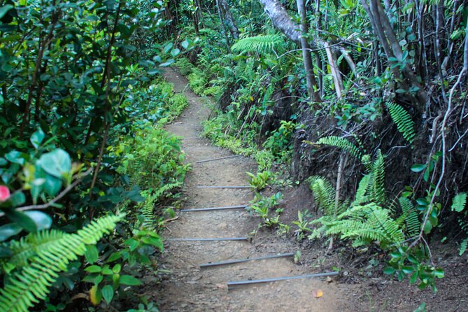 Kualoa Ranch: Jungle Expedition Tour - FAQs