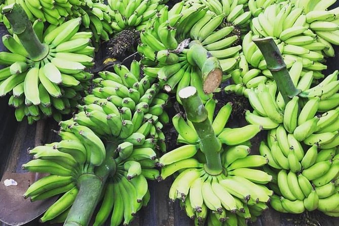 Kualoa Ranch - Kualoa Grown Tour - Frequently Asked Questions  