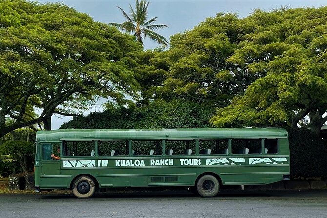 Kualoa Ranch: Movie Sites and Ranch Tour - What You Should Know Before You Go
