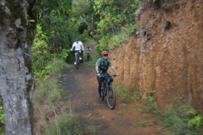 Kualoa Ranch - Ultra E-Bike Tour 3-Hour - A Detailed Look at the Kualoa Ranch Ultra E-Bike Tour