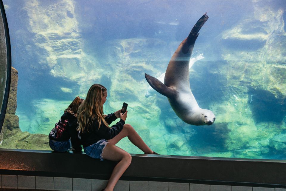 LA: Aquarium of the Pacific Skip-the-Line Entry - FAQ