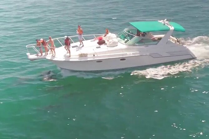 LA: Birthday Special Private Yacht (1 ticket covers 1-6 people) - A Closer Look at the Experience