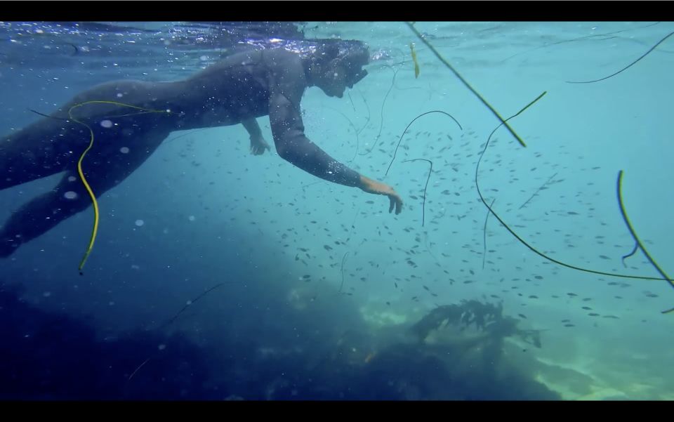 La Jolla: 2.5-Hour Kayak and Snorkel Tour - Who Should Book This Tour?