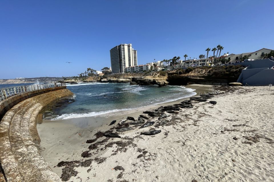 La Jolla: 2-Hour Guided Segway Tour - Who Should Consider This Tour?